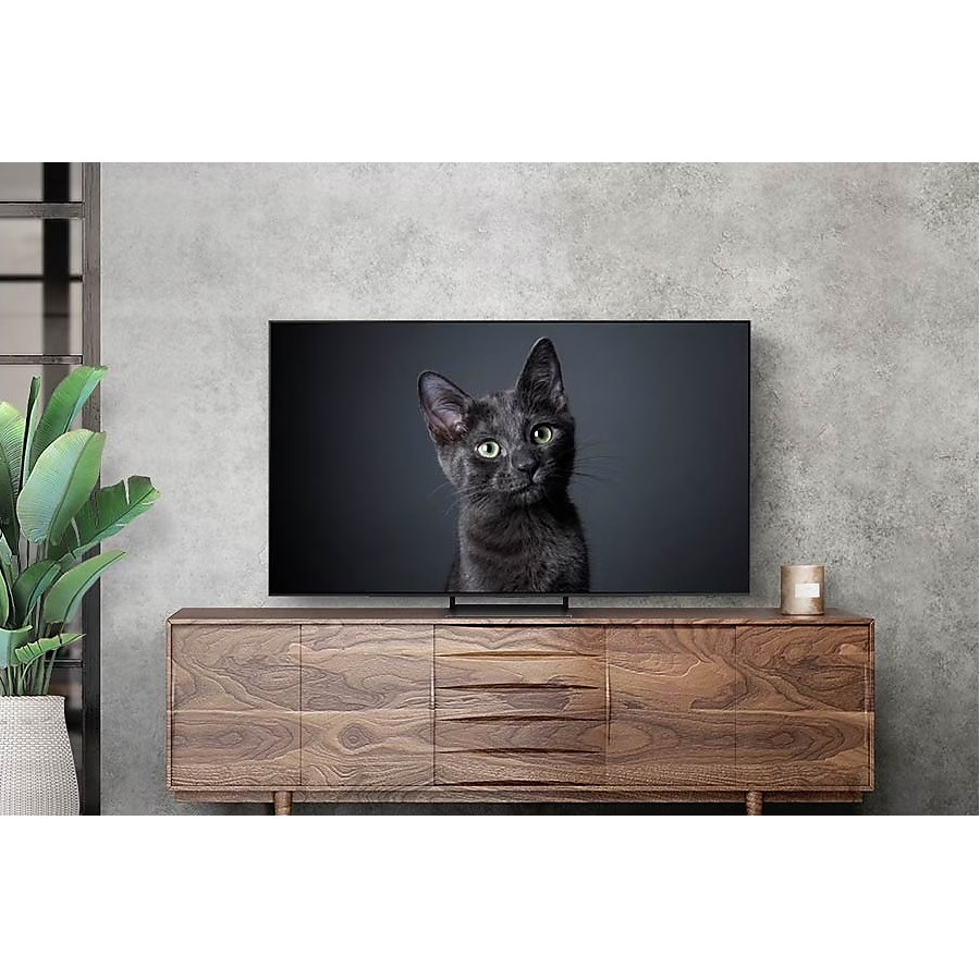 首页 电视/影音 电视 55英寸级 OLED电视 S90Z